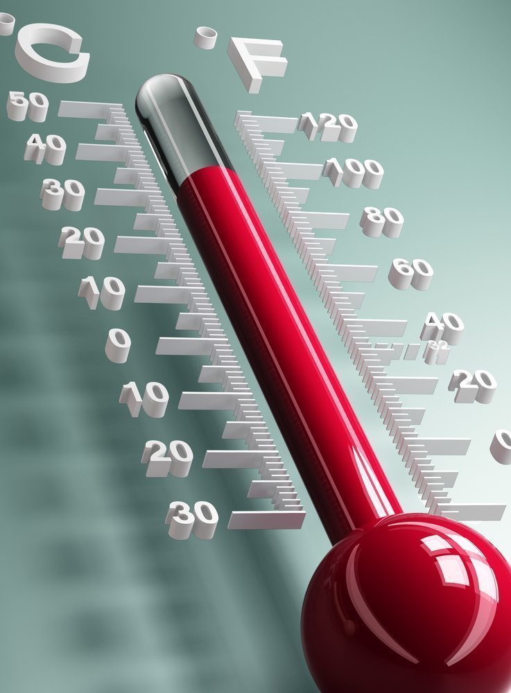 How brain cells shape temperature preferences - CogniFit's Blog