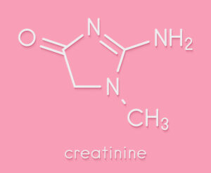 Creatina y Creatinina: Qué son, qué nos indican y cómo medirlas