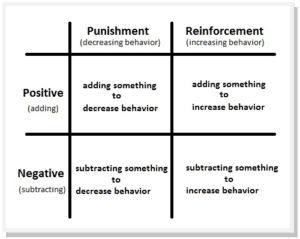 Associative Learning: Learning from association or relating several things