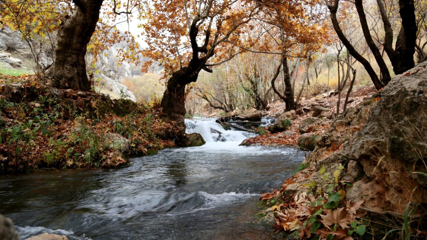 Life is Good when you Flow - CogniFit Blog: Brain Health News