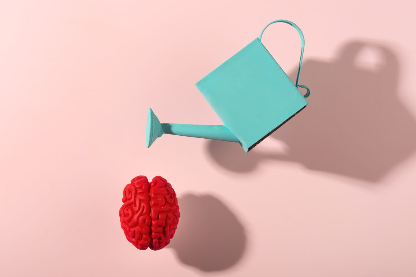 The Surprising Power of Routine During Vacation: Why Structure Matters ...