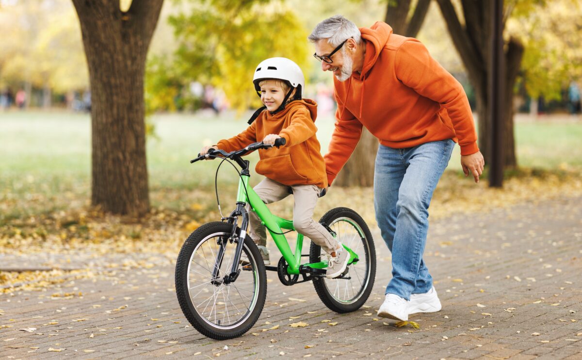 Cerebellum Crucial for Long-Term Motor Memory: New Harvard Study ...